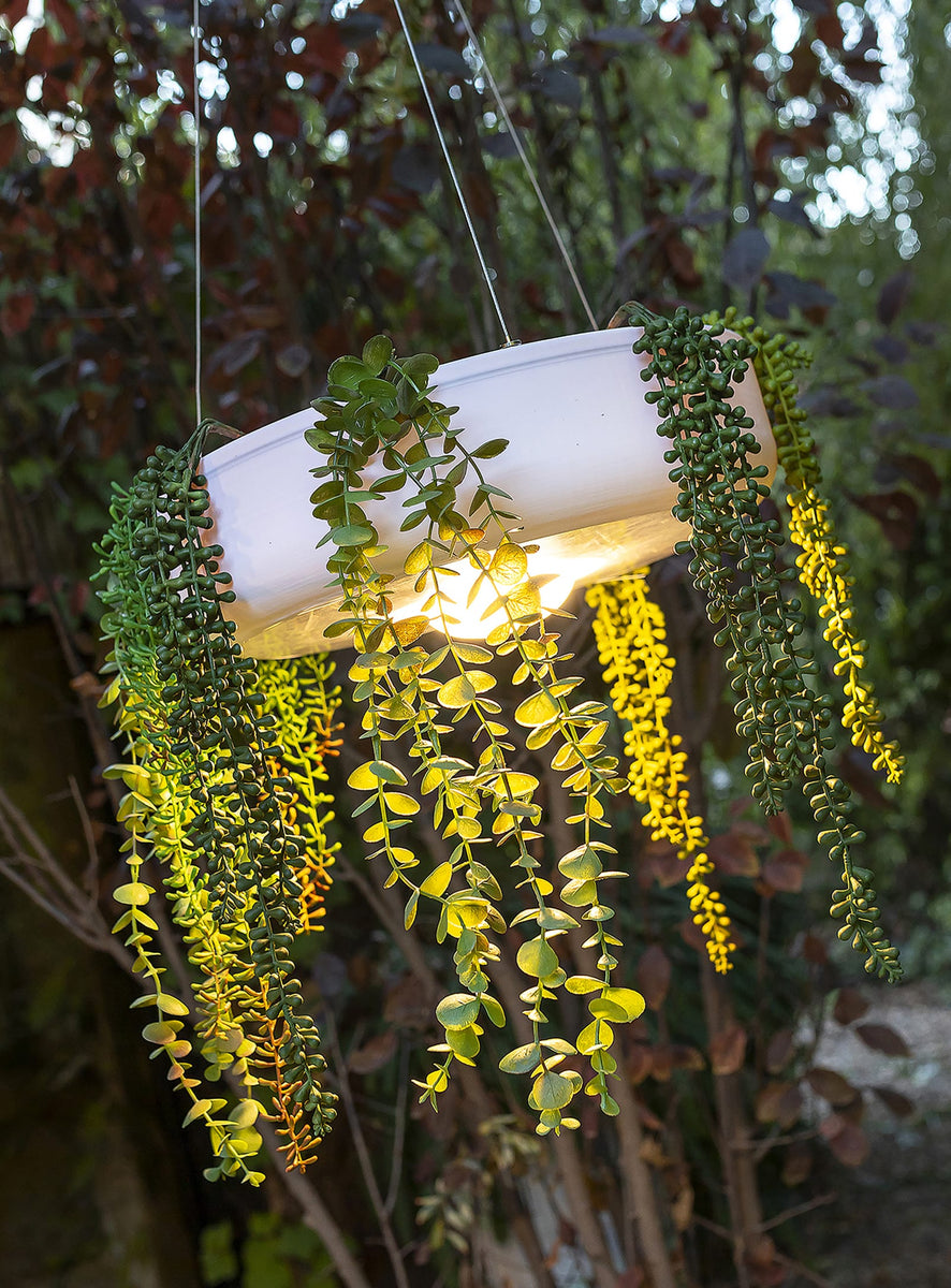 Elba Hanging & Planter: The Perfect Fusion of Decoration & Lighting ...