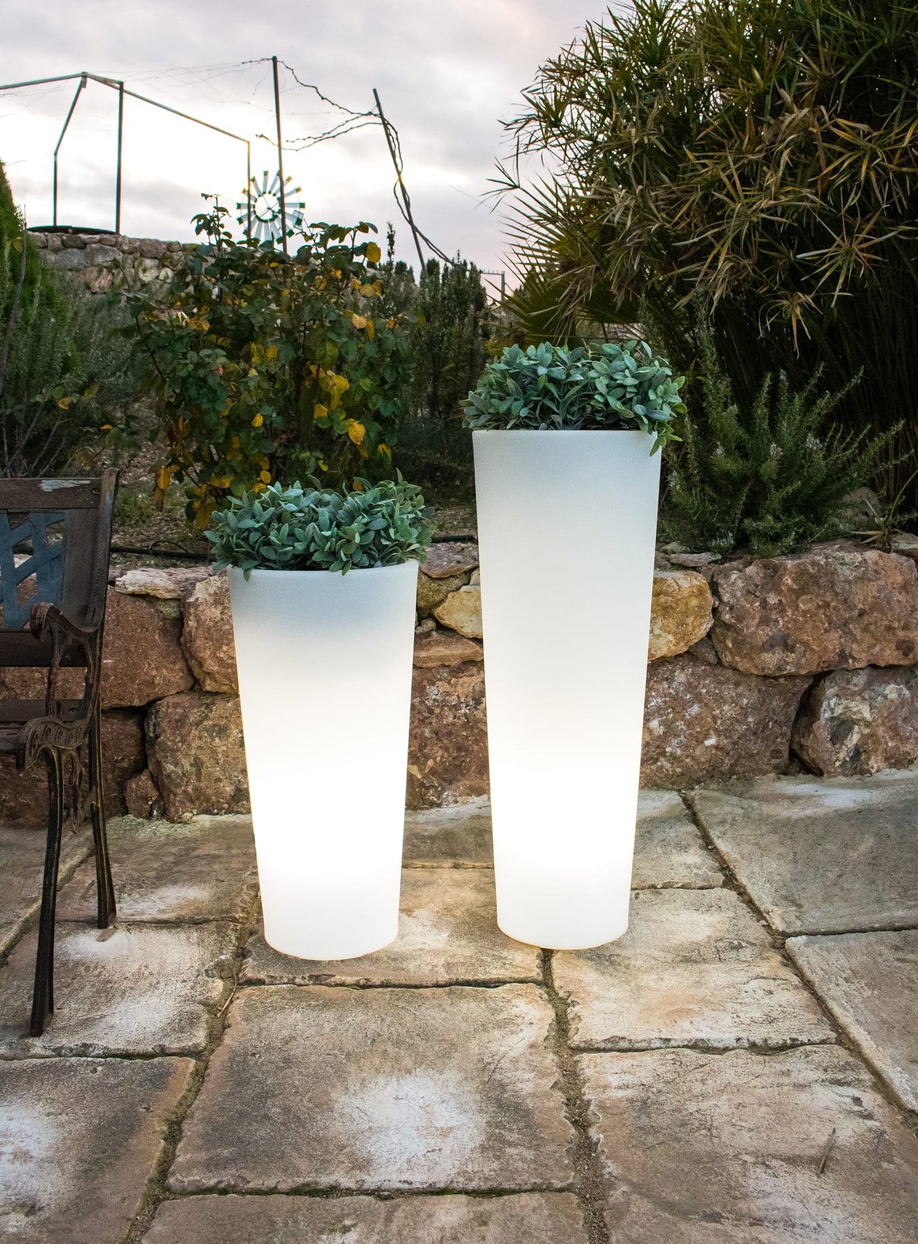 Ficus Planter: Stylish & Durable Illuminated Pot – Newgarden