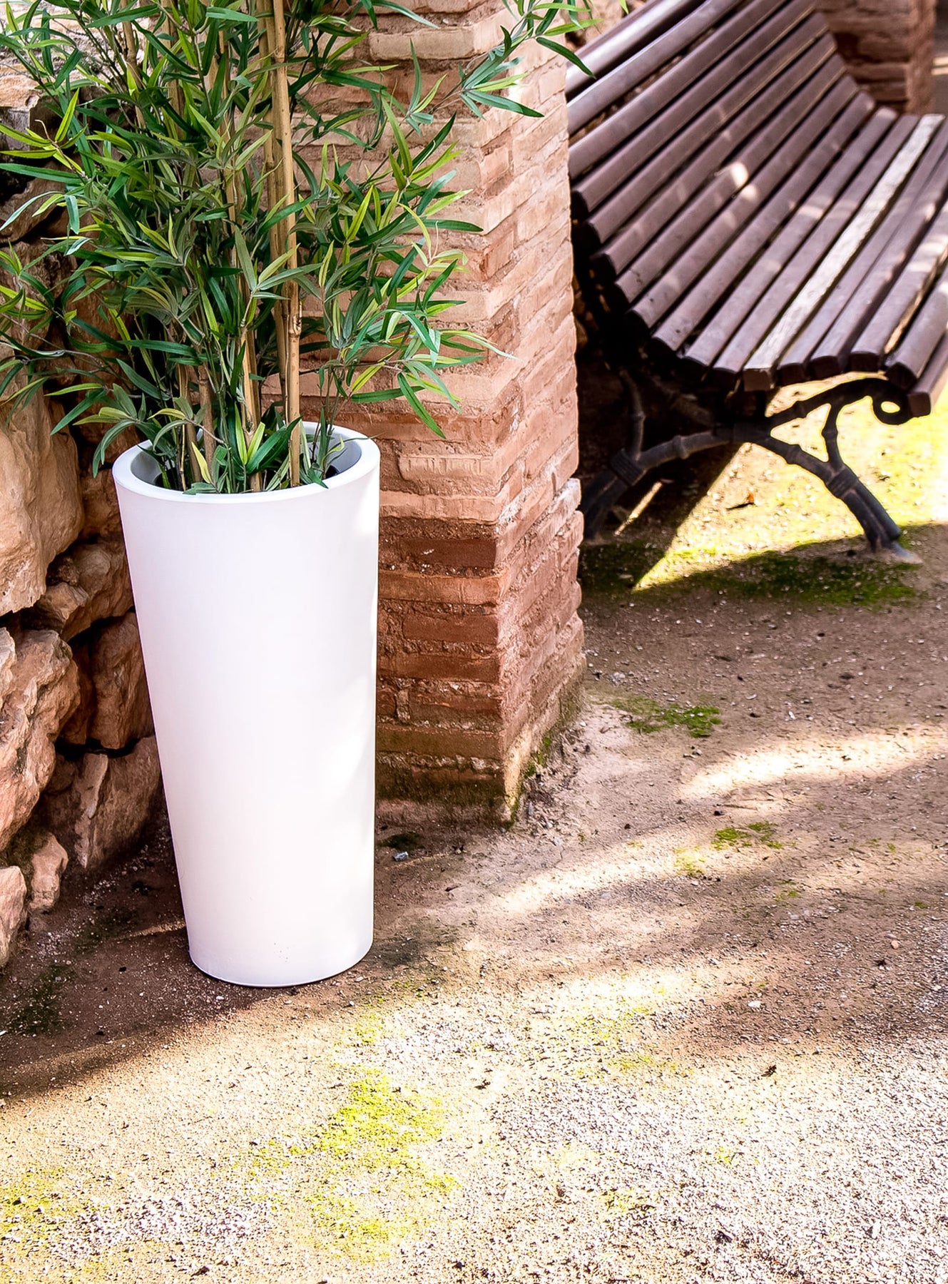 Ficus Planter: Stylish & Durable Illuminated Pot – Newgarden